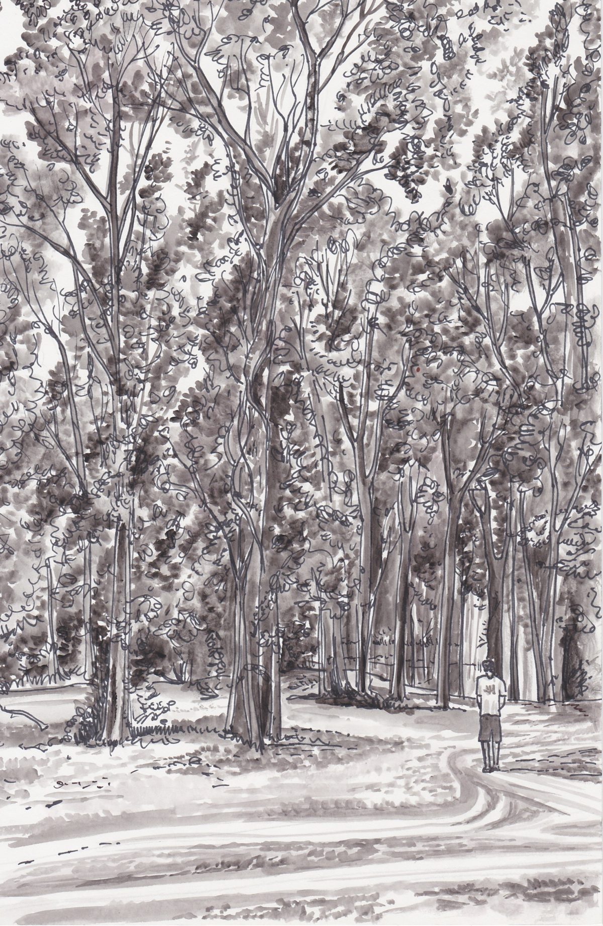 Finding Land - Ariane Roesch